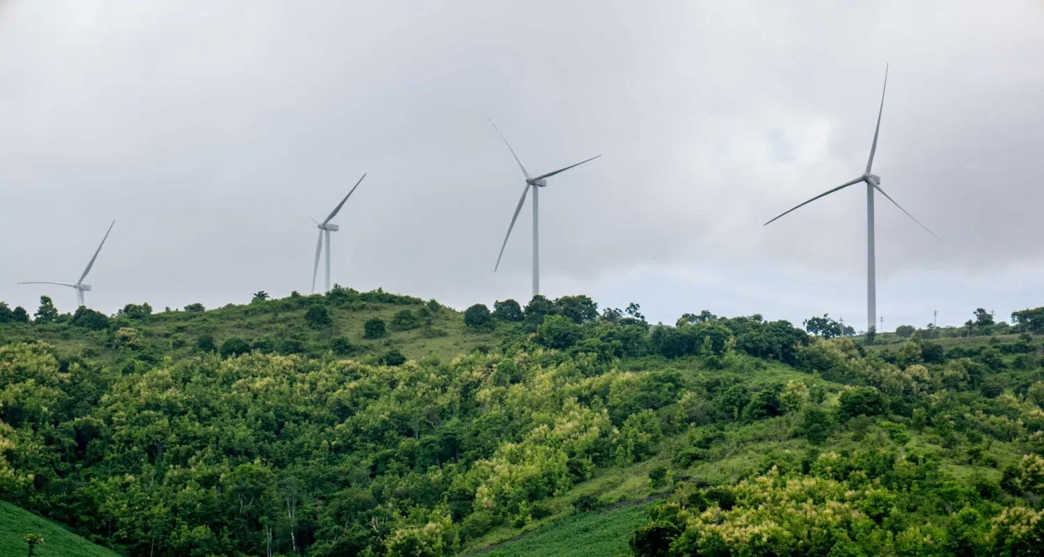 Rapid Portable Health Sweeps for Wind Turbines