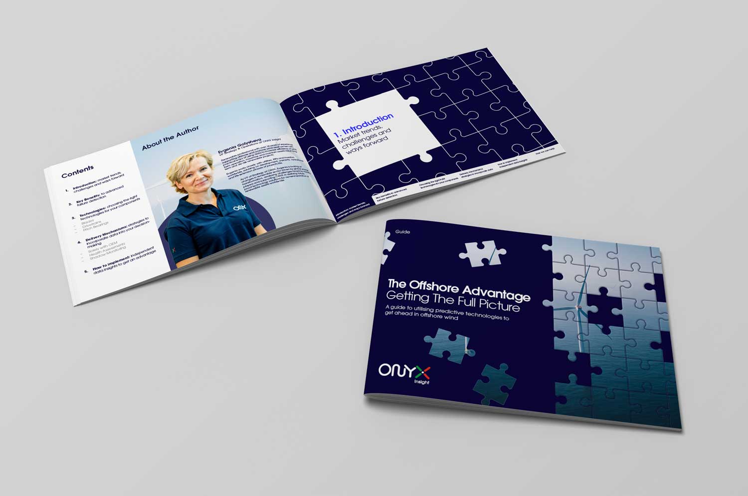 The Offshore Advantage: A guide to utilising predictive technologies to ...